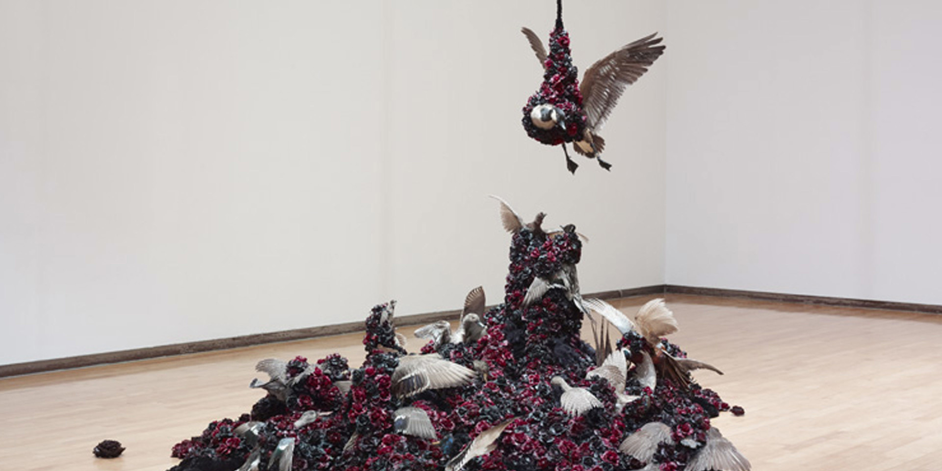 Petah CoyneEverything That Rises Must Converge | MASS MoCA