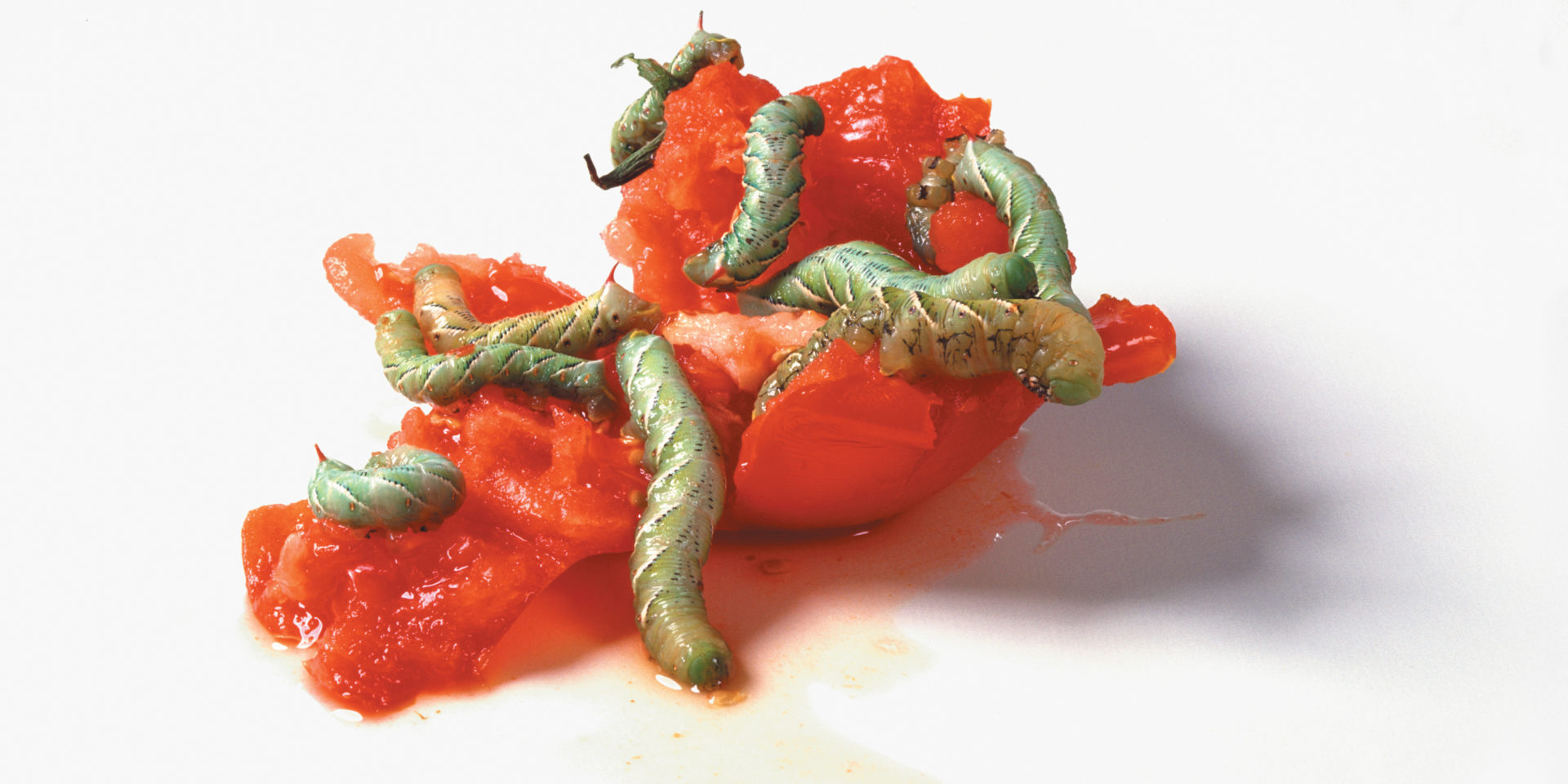 Unnatural Science | MASS MoCA