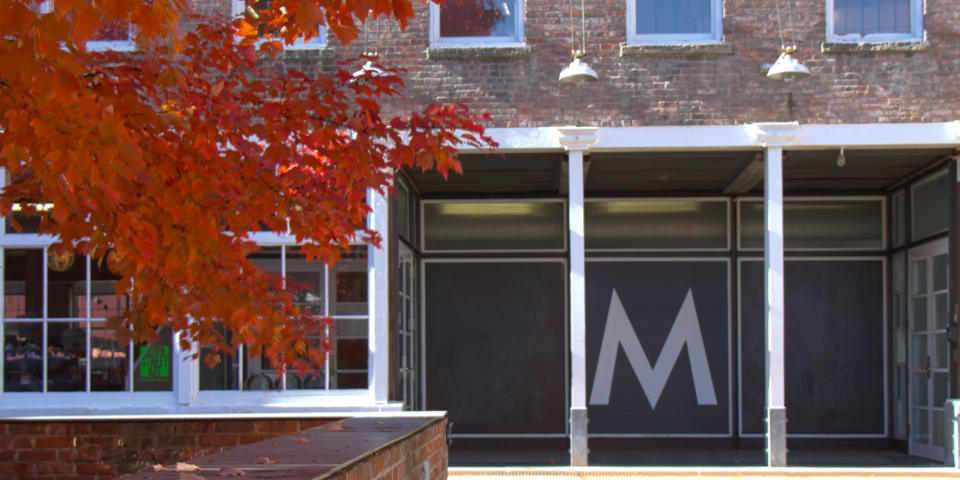 Webcuts_Tree_3840x1920 | MASS MoCA