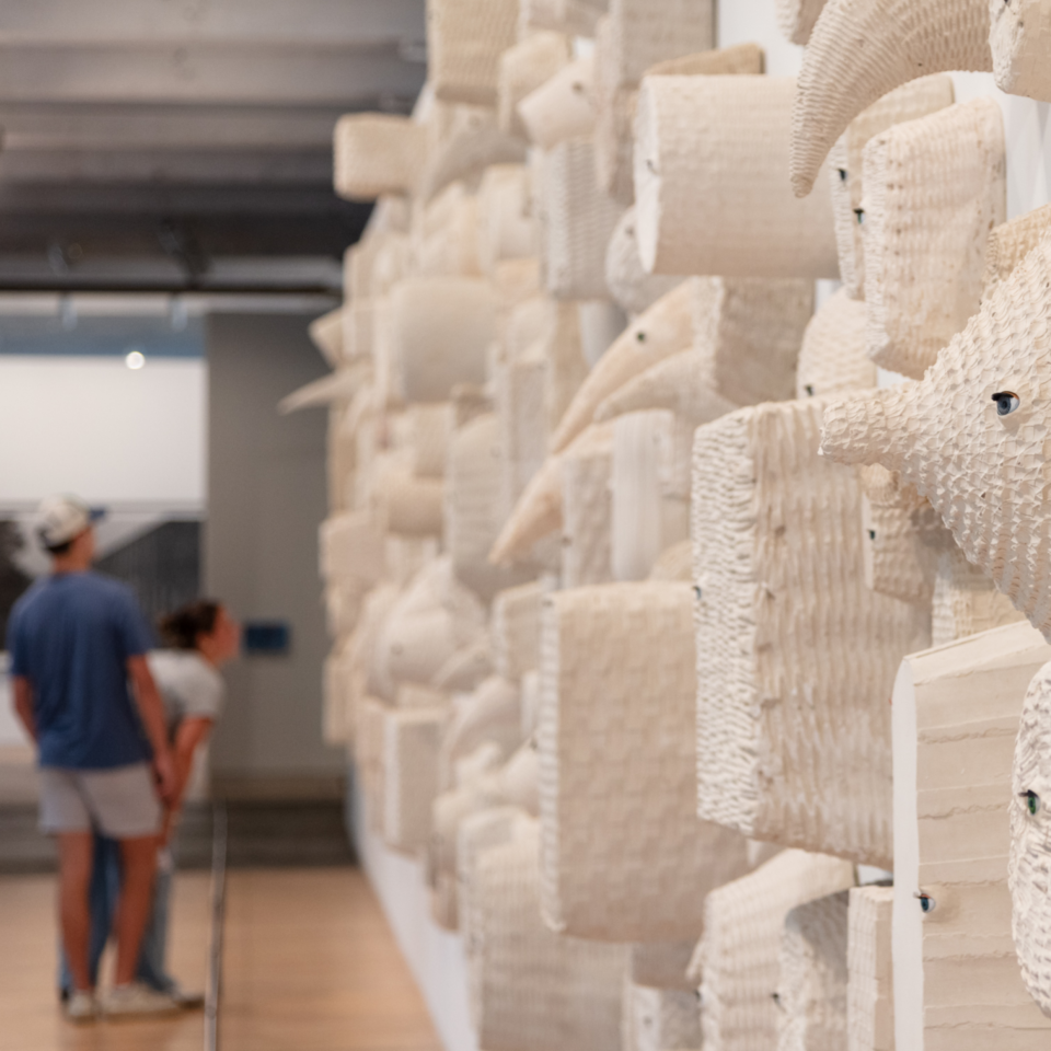 Member Celebration Steve Locke, Alison Pebworth & Amy Podmore | MASS MoCA