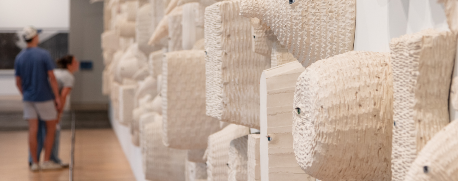 MASS MoCA